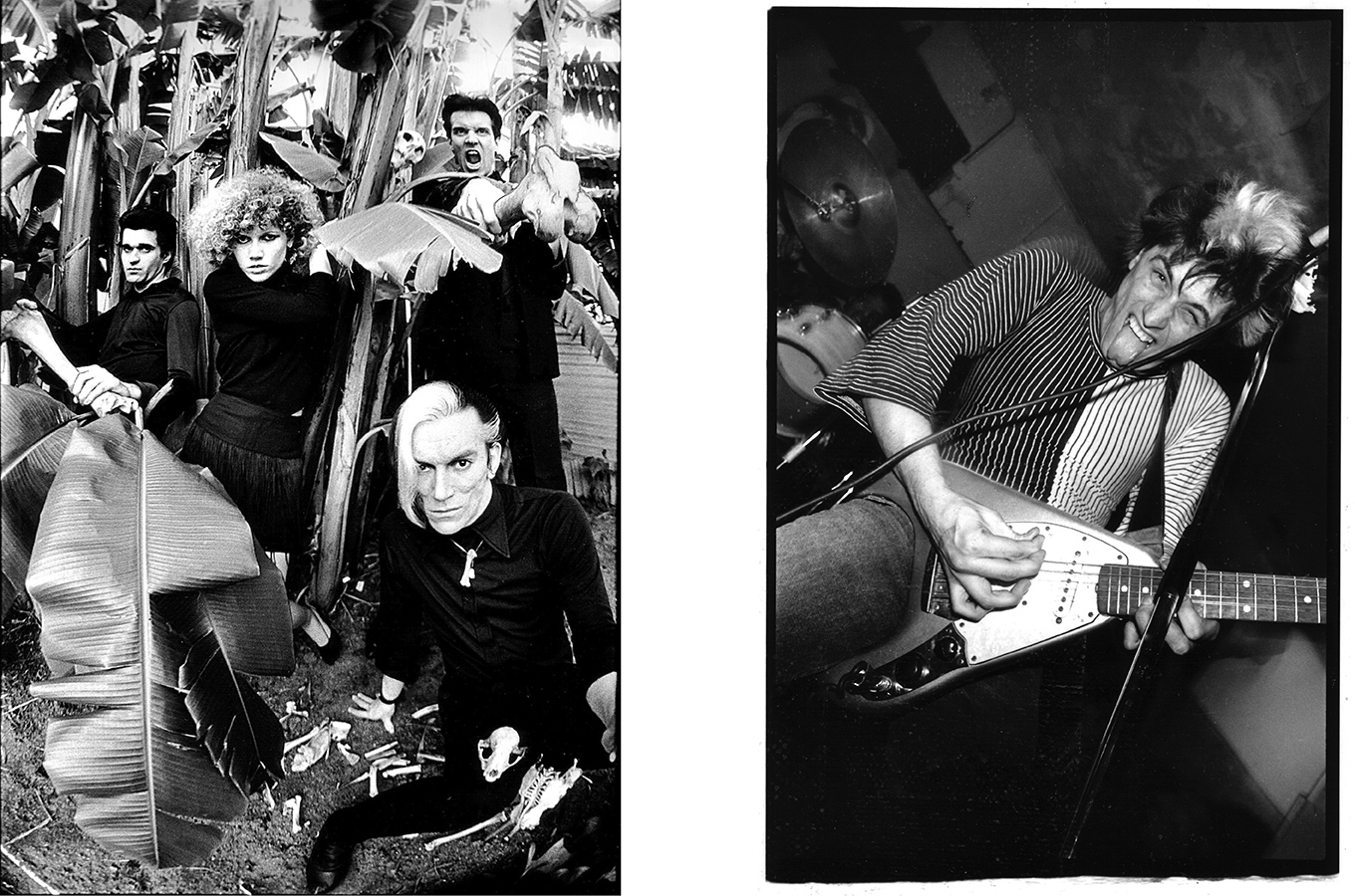 Allan MacDonell: Punk Elegies : Issue Magazine